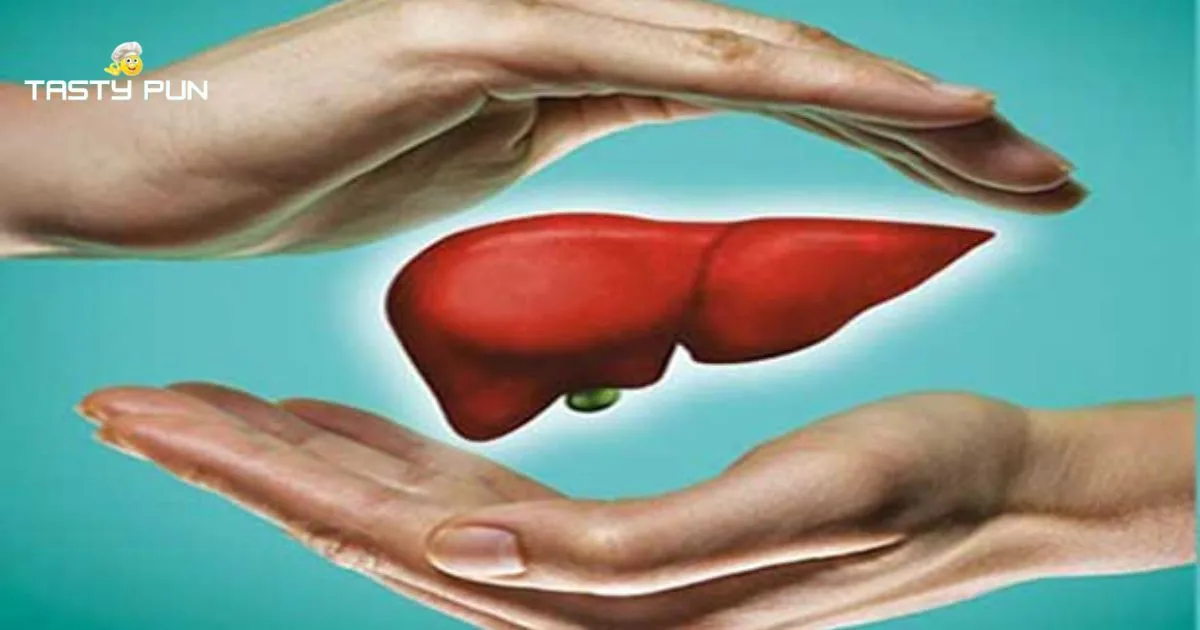 250+ Liver Puns: Hilarious Organ Humor to Brighten Day 2026